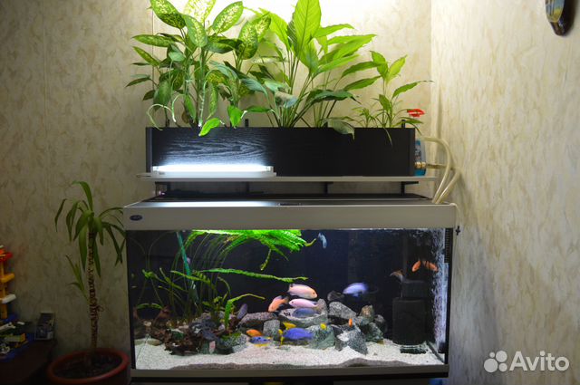 Аквариум 300литров