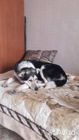 Маленький звоночек в частный дом