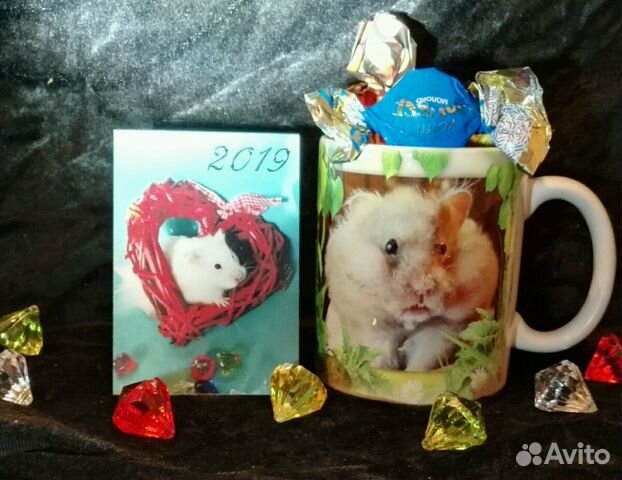 Для любителей хомячков