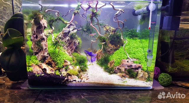 Аквариум 40л, камни Дракон