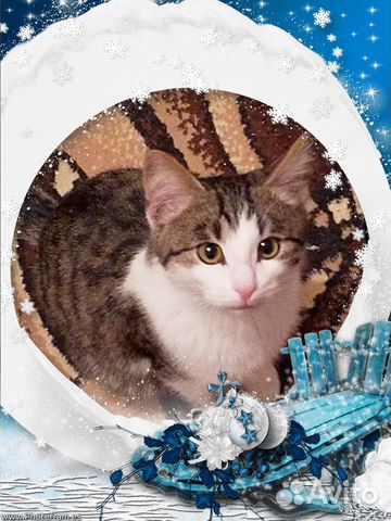 Савелий в поиске родителей)