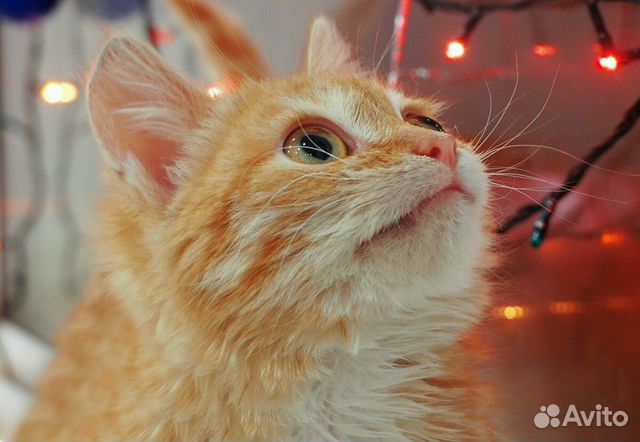 Особенный мальчик