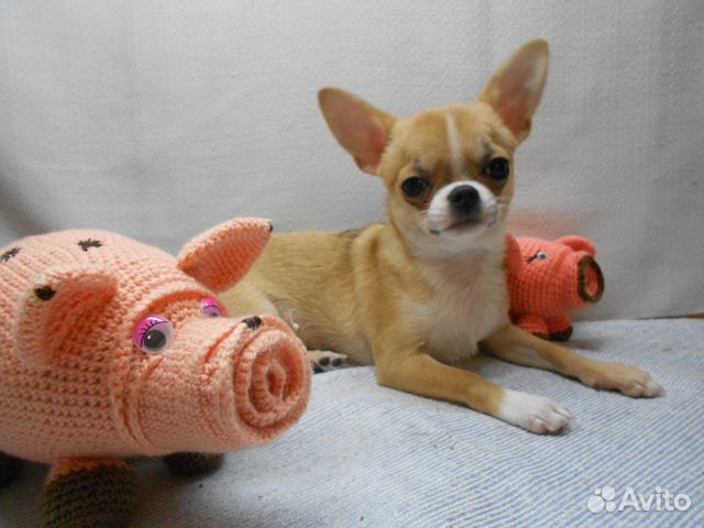 Красивый подросток 8 мес