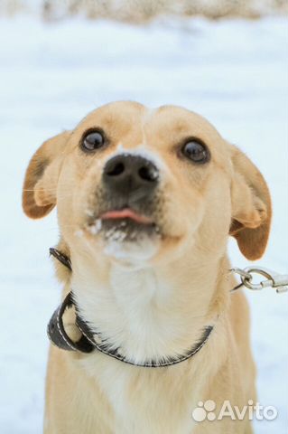 Малыш Лаки 1.5 года 35 см