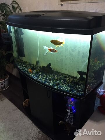 Аквариум 170л с тумбой