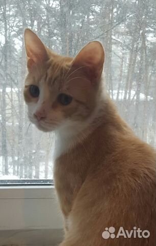 Он никому не нужен