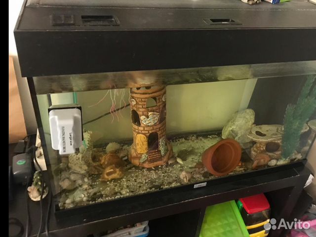 Аквариум