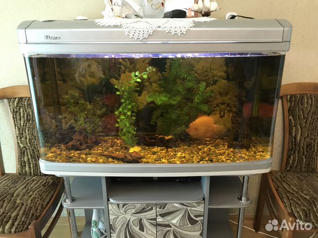 Аквариум 250 литров