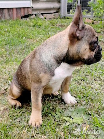 Серьёзный парень