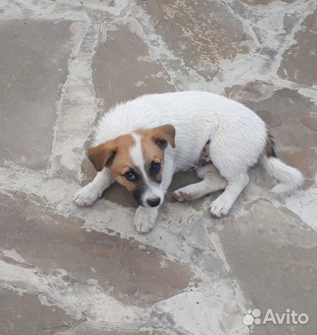 Маленький медвежонок