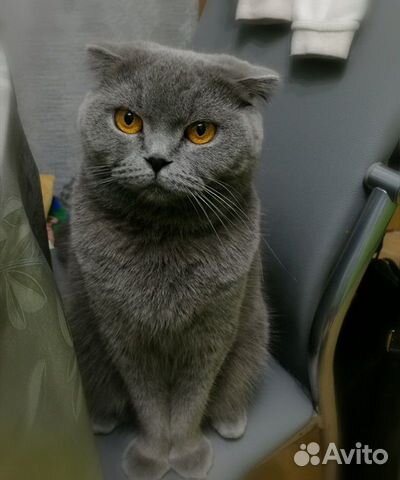 Вязка