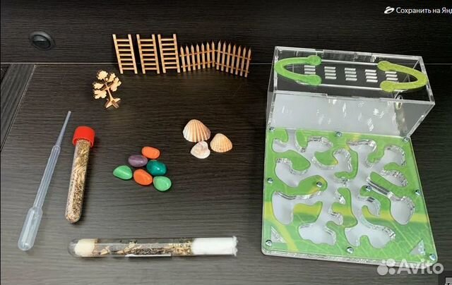 Муравьиная ферма формикарий