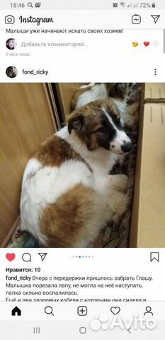 В ручки Глашу