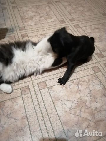 Друзья всех