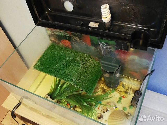 Аквариум для водной черепахи