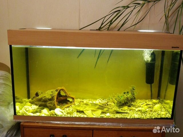 Аквариум. дхвхг 101х56х41см. 194 литра