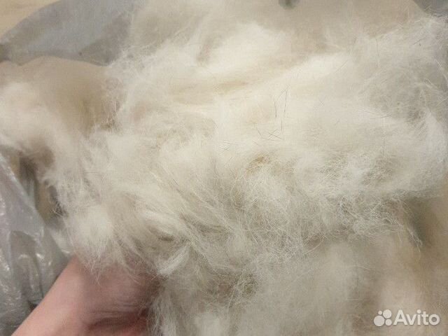 Шерсть сибирской хаски