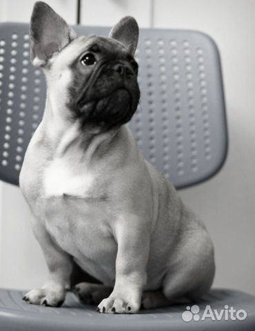 Супер парень