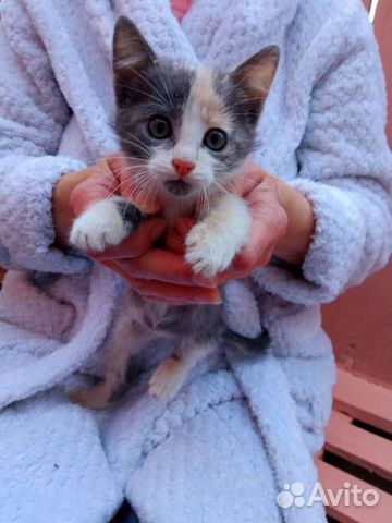 Красотулька