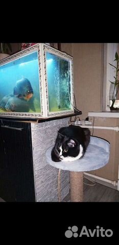 Украшение для аквариума