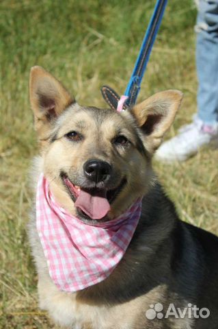 Устала жить в одиночестве