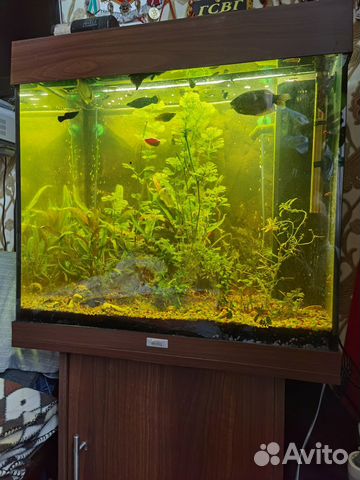 Аквариум с тумбой