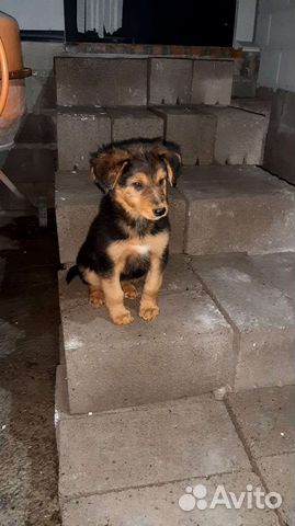 Потерялась