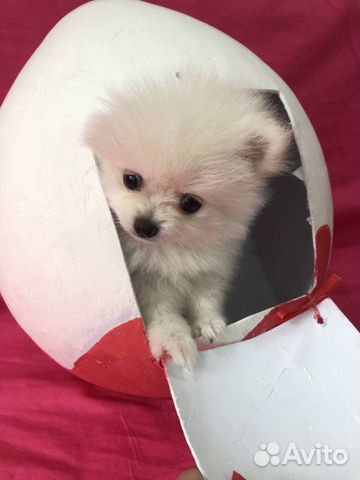 Маленькая девочка