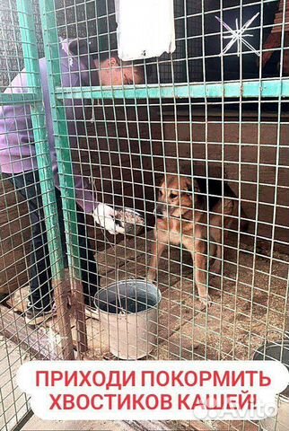 Стань волонтером