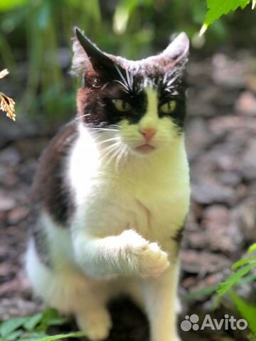 Повезло с дачниками, повезло бы с семьёй