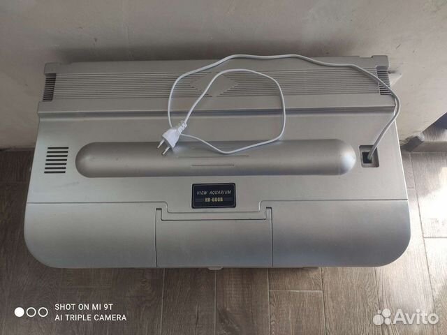 Домашние животные