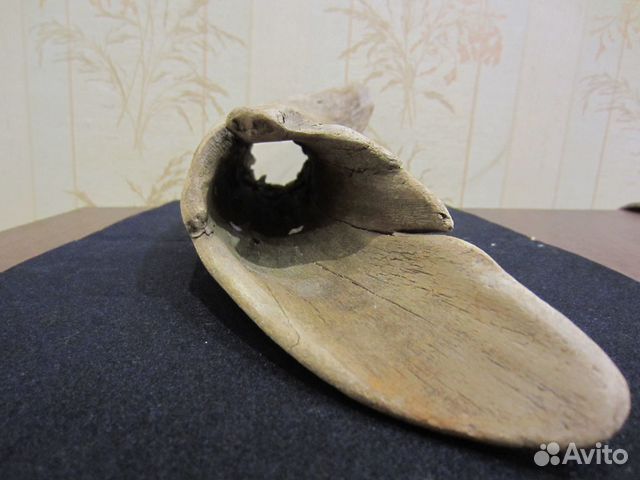 Корень дерева " Нора "