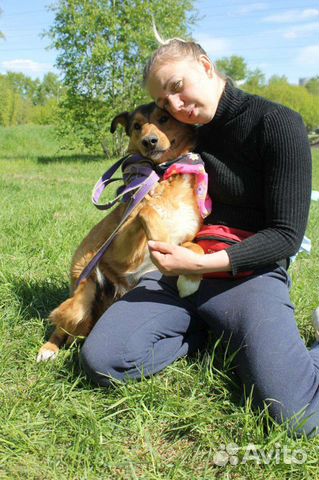 Лучший друг ищет семью