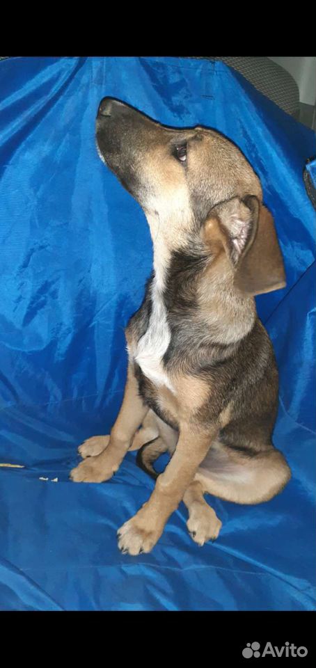 Малышка в добрые ручки